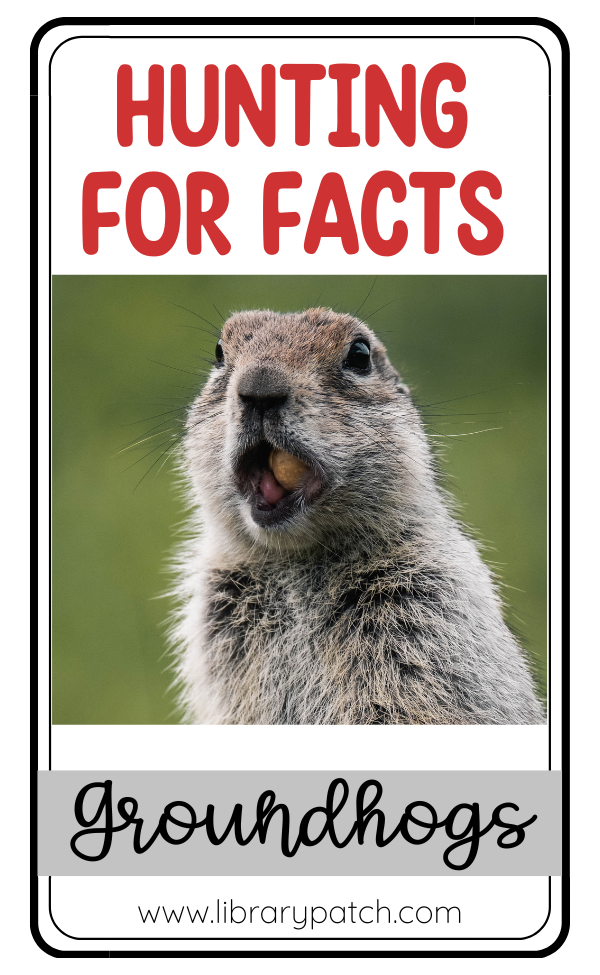 Searching for the Groundhog - The Library Patch